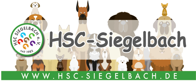 Hundesportclub Siegelbach e.V. - Hoopers